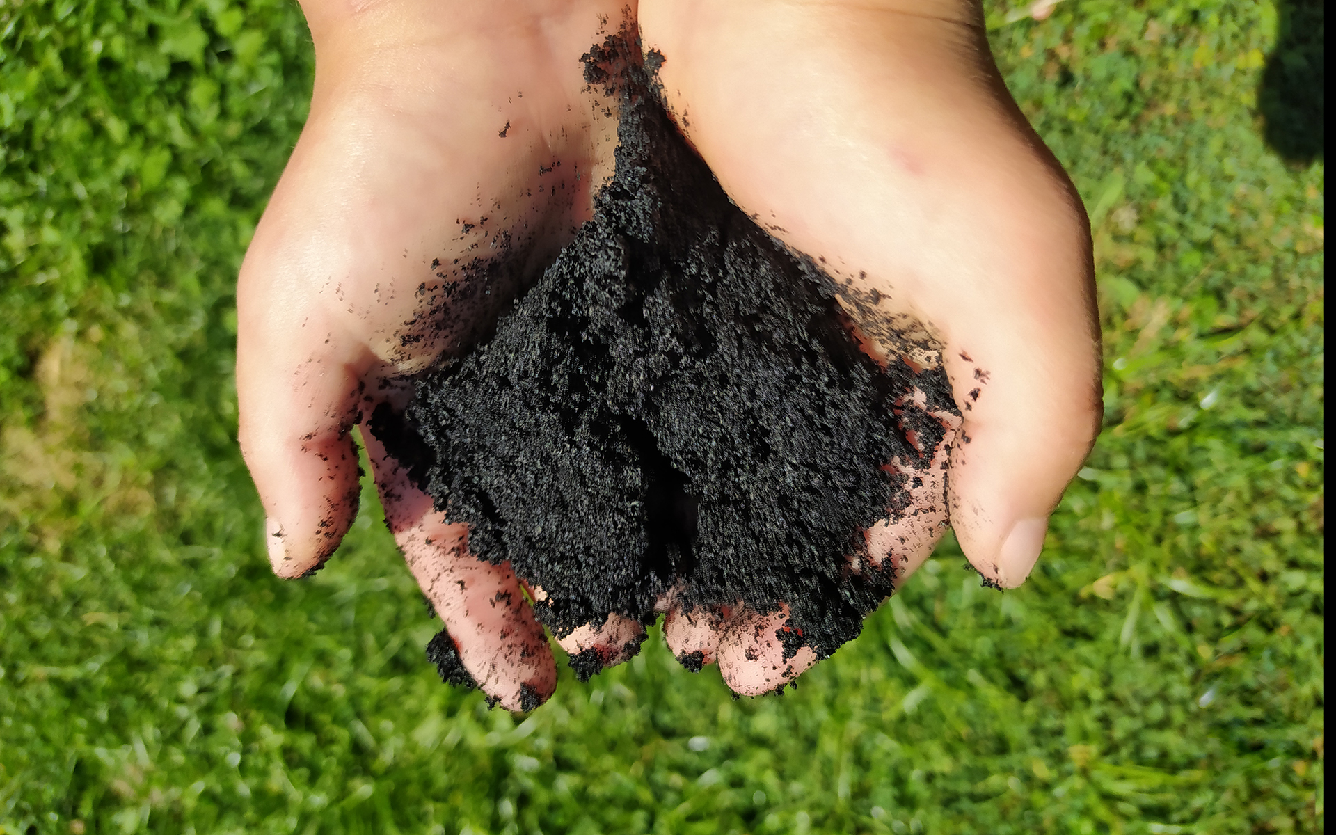 Investigadora de Agronomía UdeC realizará charla sobre el biocarbón y ...